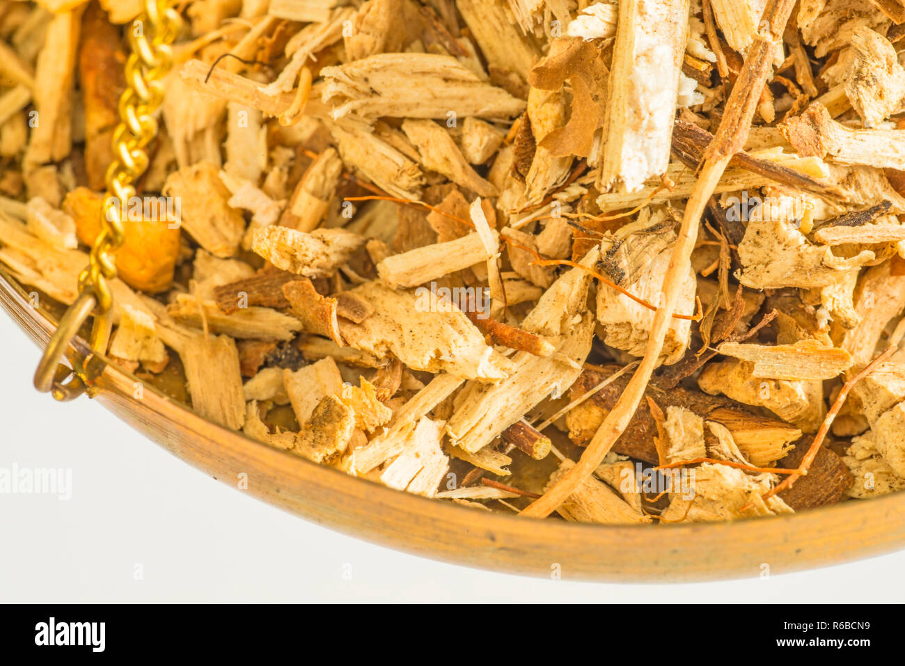 Blue Evergreen Hydrangea Root, Dichroa Febrifuga Stock Photo - Alamy