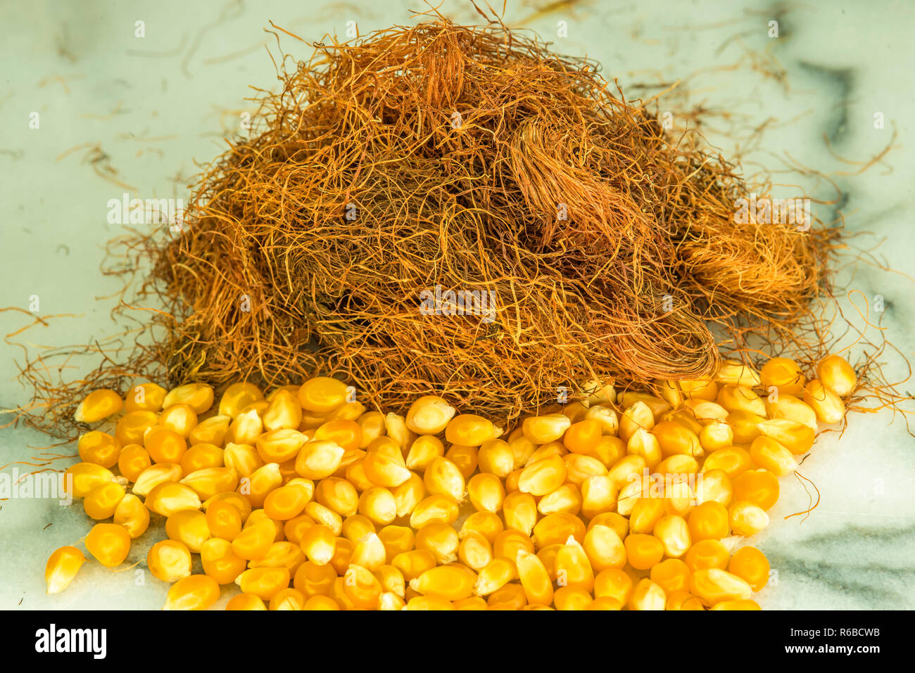 Stigma of maize zea mays hi-res stock photography and images - Alamy