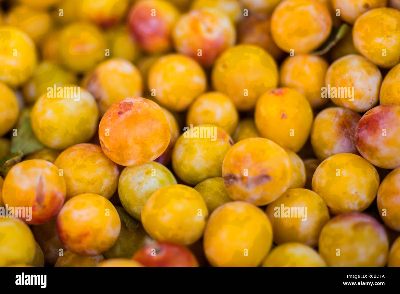 Mirabelles hi-res stock photography and images - Alamy