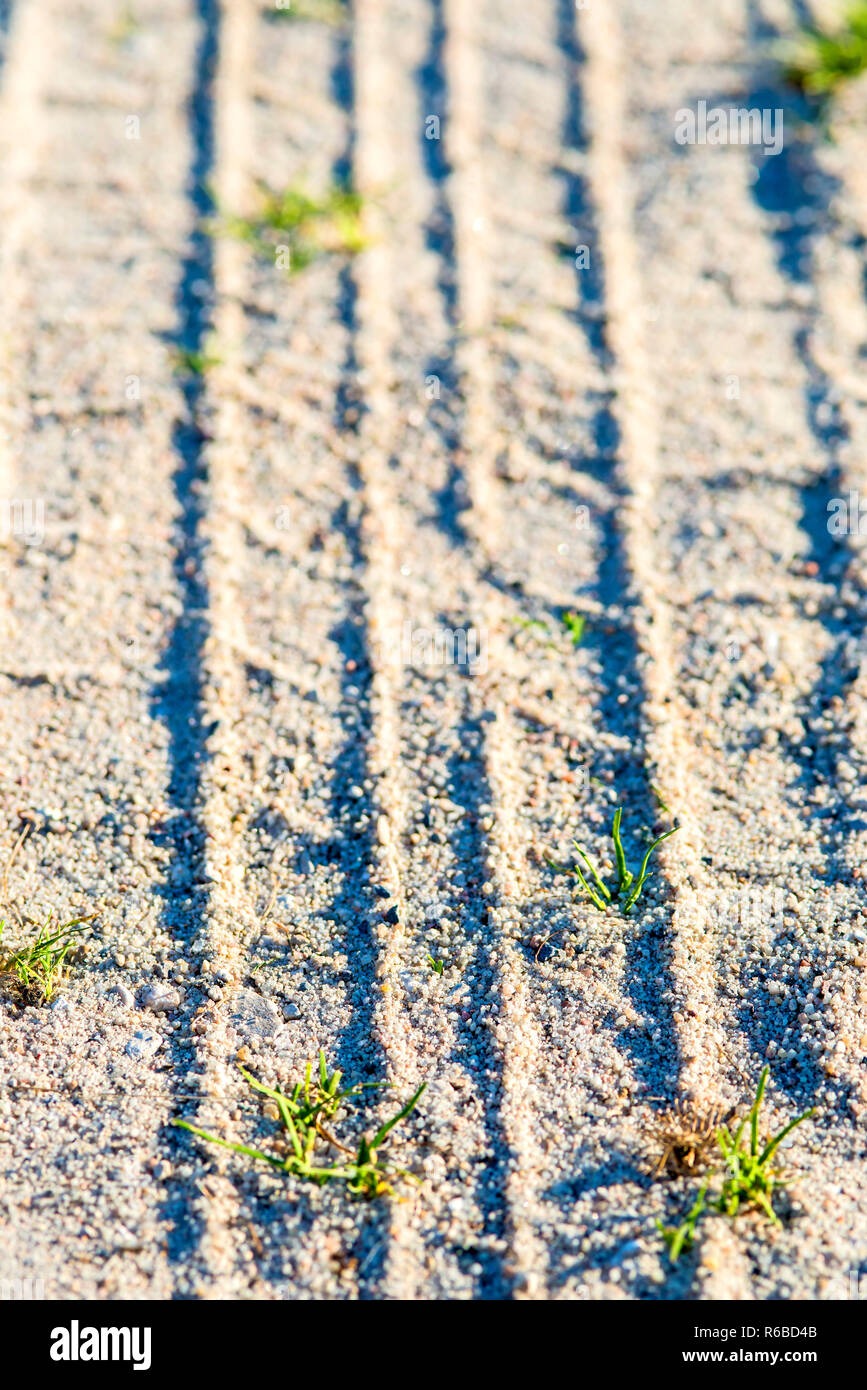 Tracks In Sand Stock Photo - Alamy