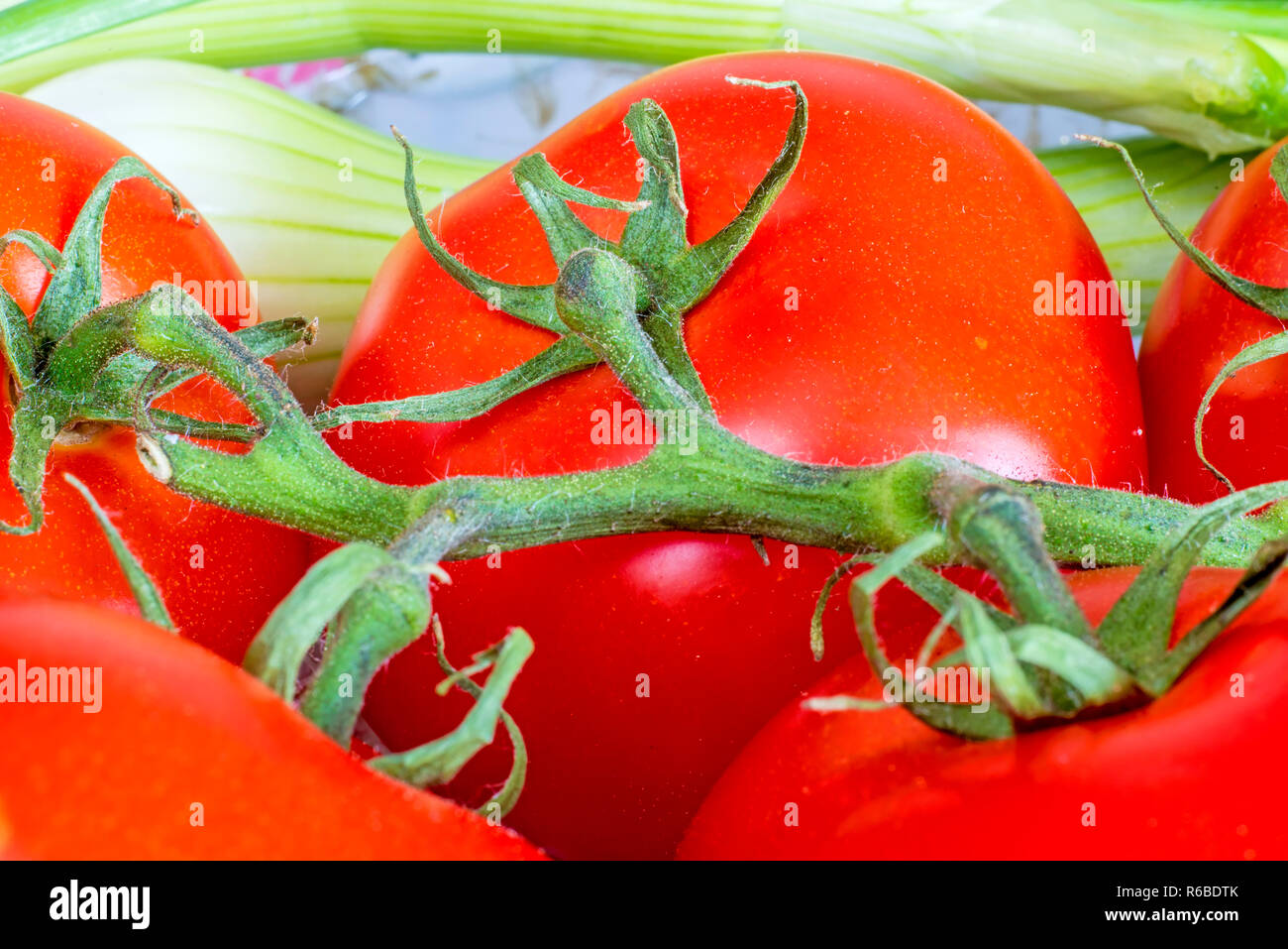 Vine riped tomato hi-res stock photography and images - Alamy