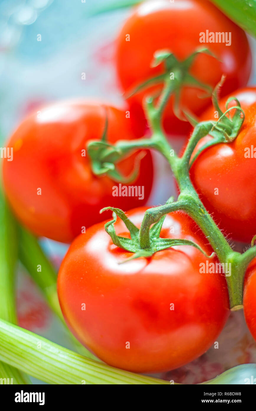 Vine riped tomato hi-res stock photography and images - Alamy