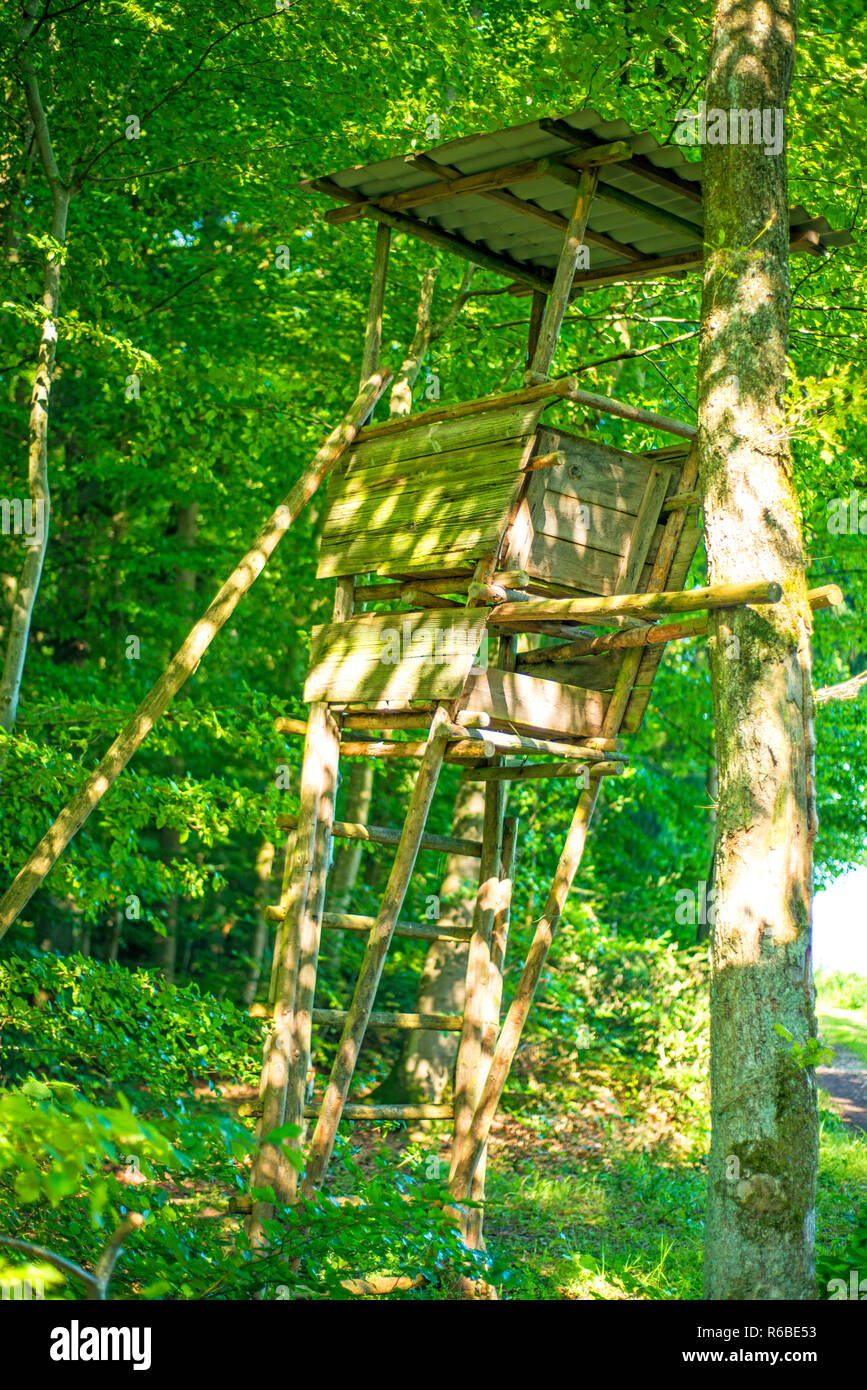 Hide In A Forest Stock Photo - Alamy