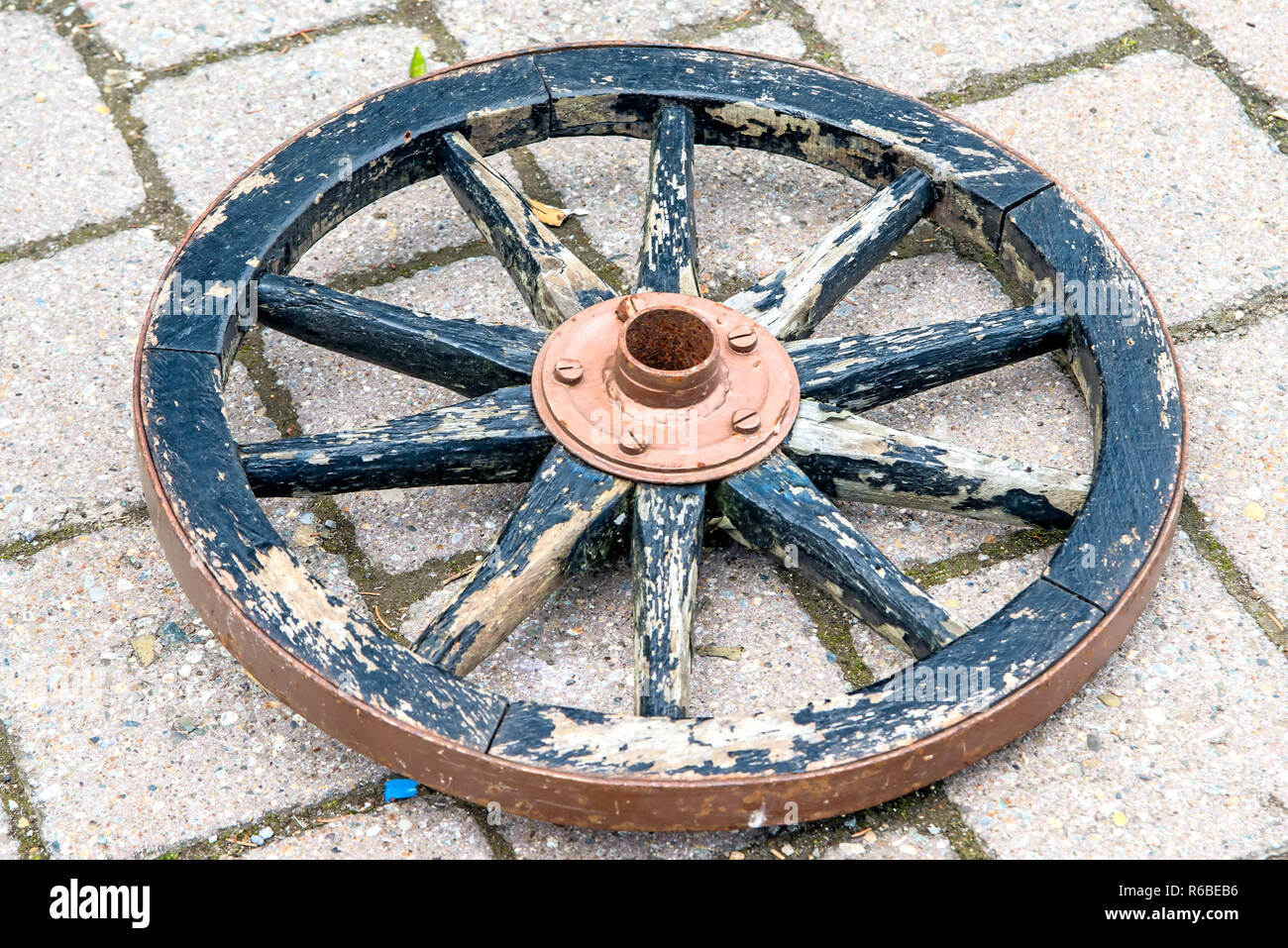 Drving collar hi-res stock photography and images - Alamy