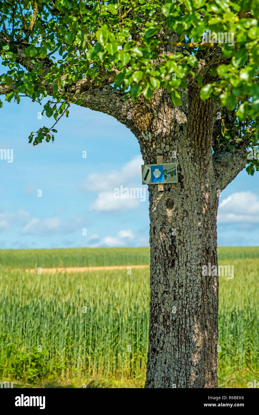 Jakob way hi-res stock photography and images - Alamy