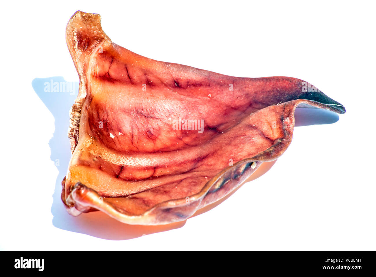 Realistic pig Cut Out Stock Images & Pictures - Alamy