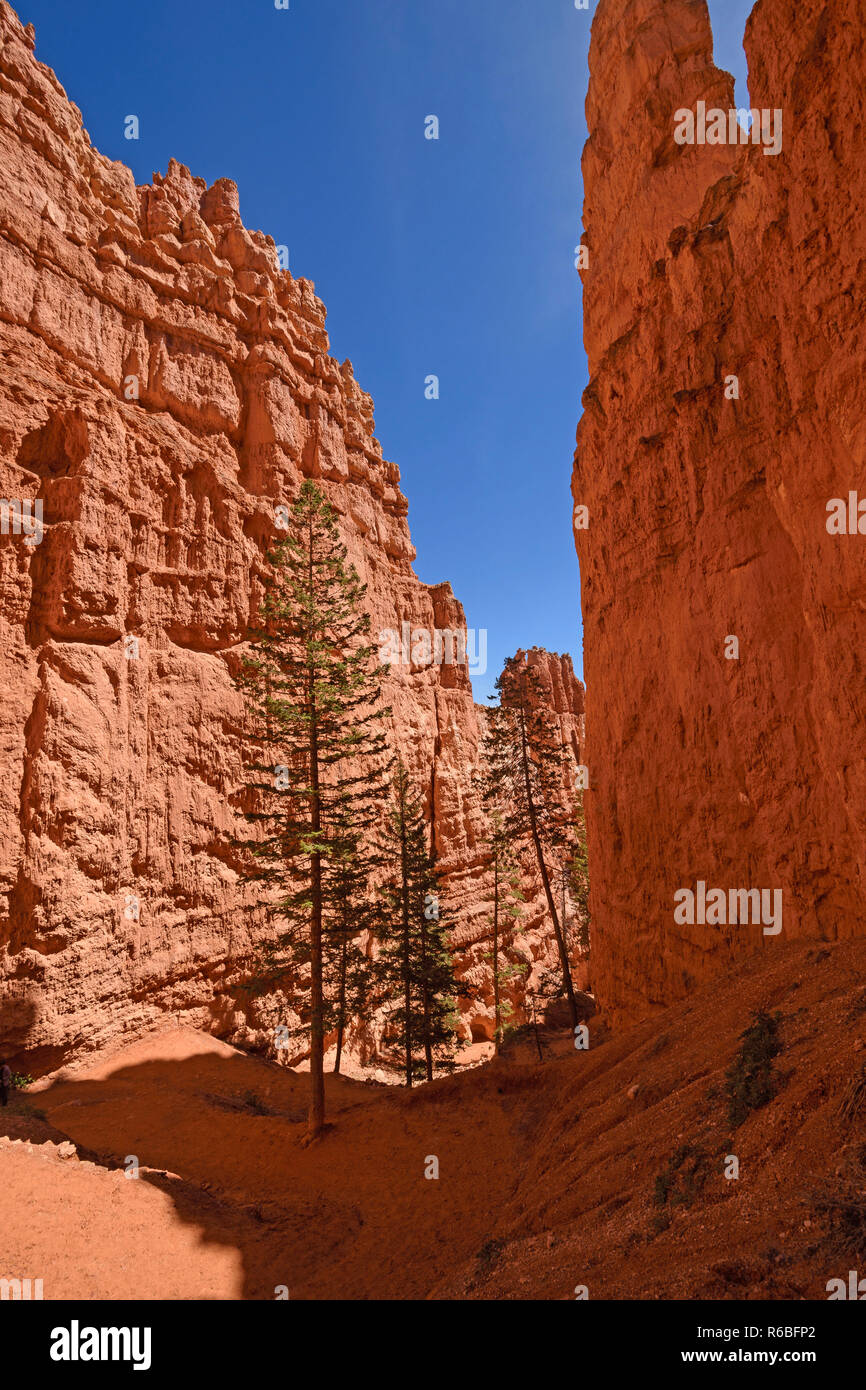 Dramatic Shadows in a Red Rock Canyon Stock Photo - Alamy