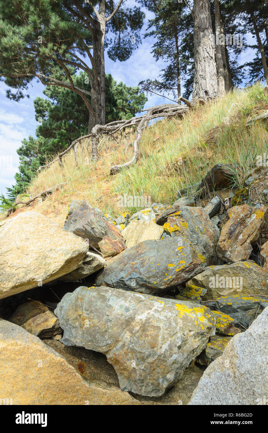 Stone and rocks structure under trees in woods on France coast ...