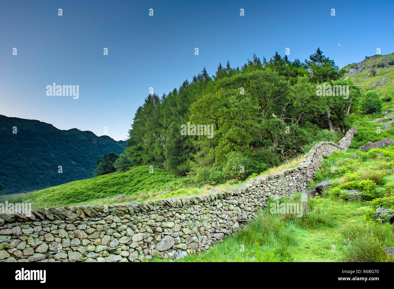 Landscape photography.Idyllic scenery of rural Britain in spring.Trees ...