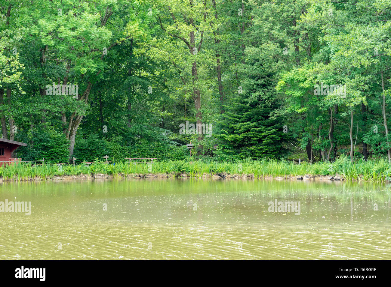 sunny lake scenery Stock Photo - Alamy