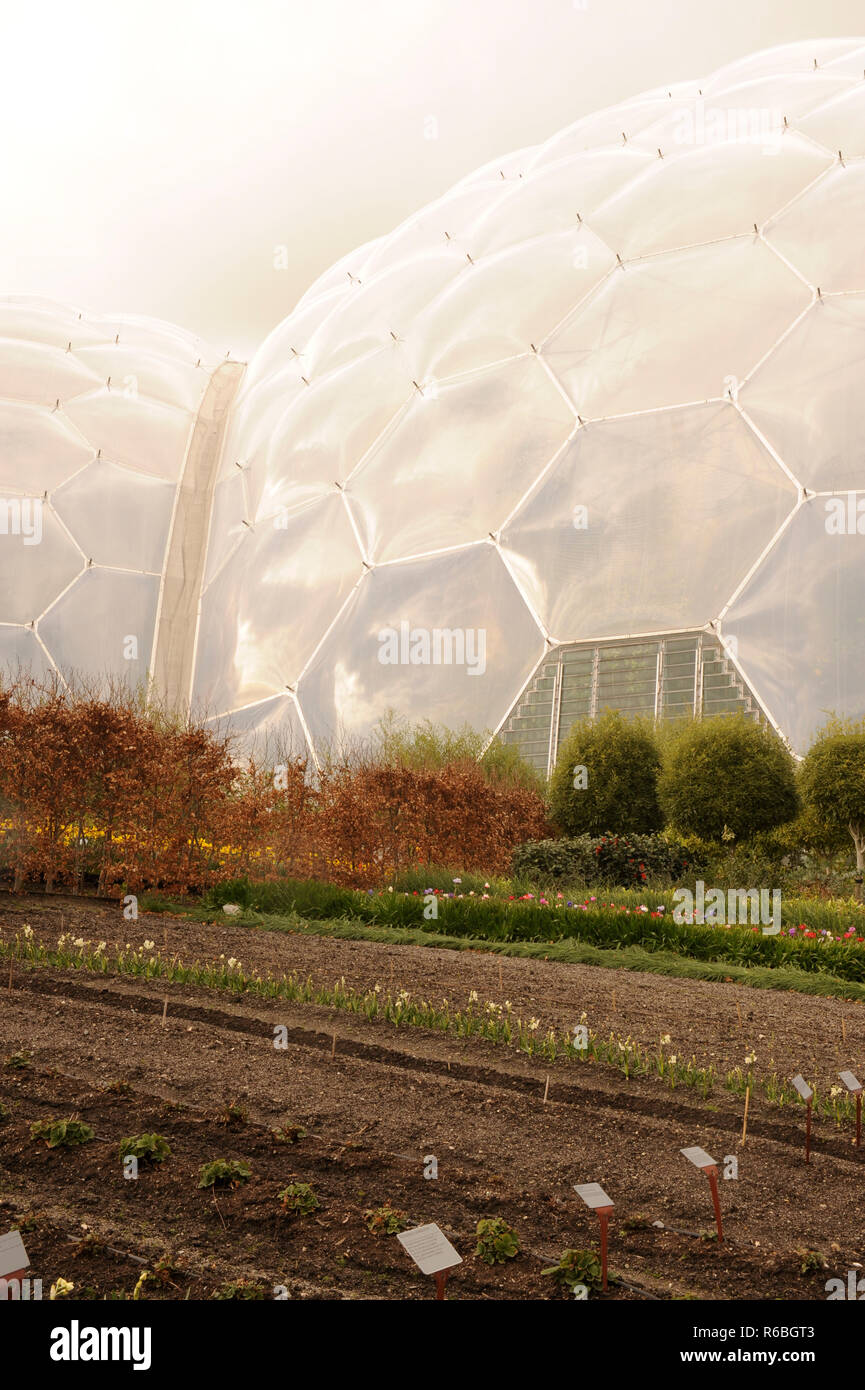 Eden project indoor waterfall hi-res stock photography and images - Alamy