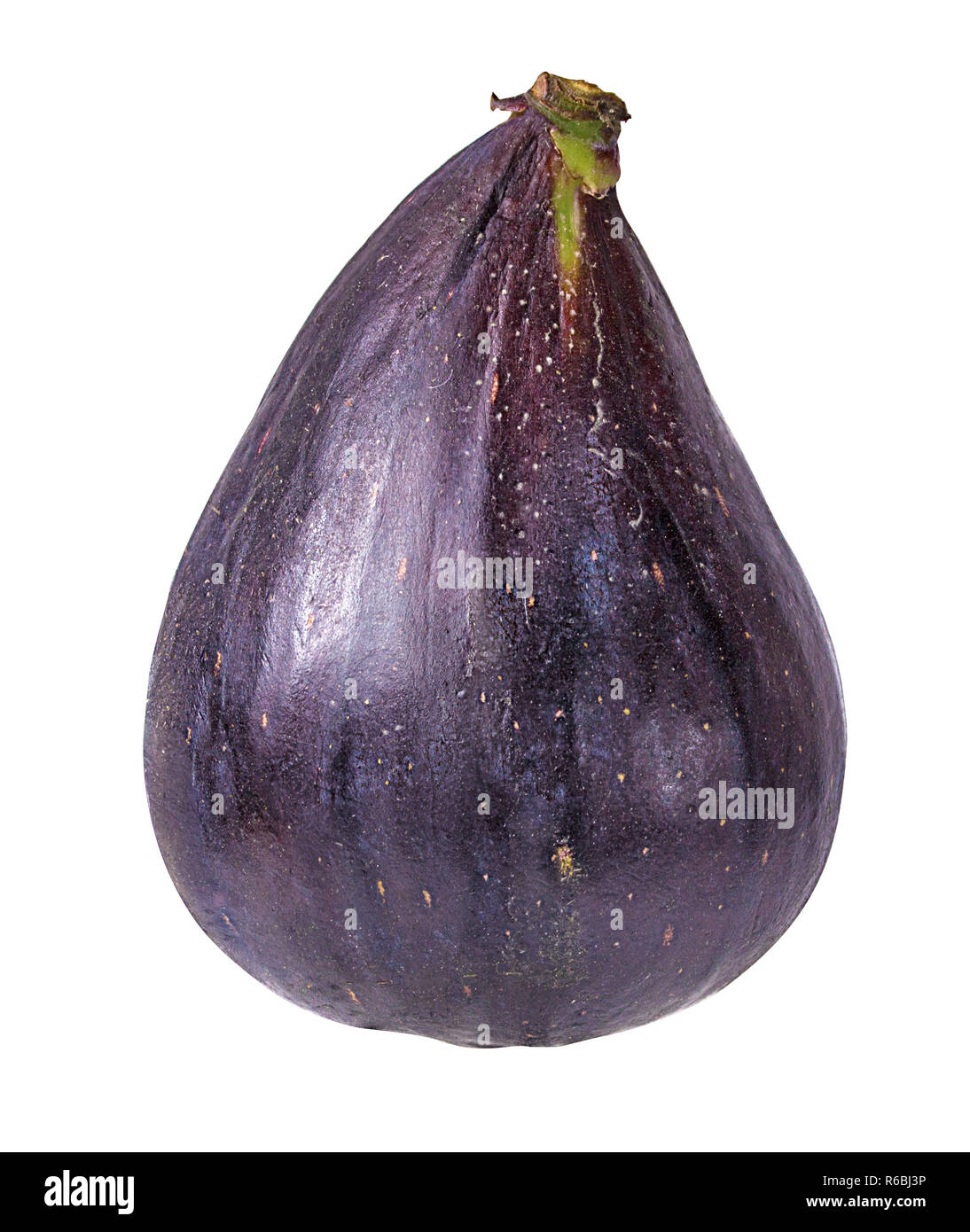 Fig hi-res stock photography and images - Alamy