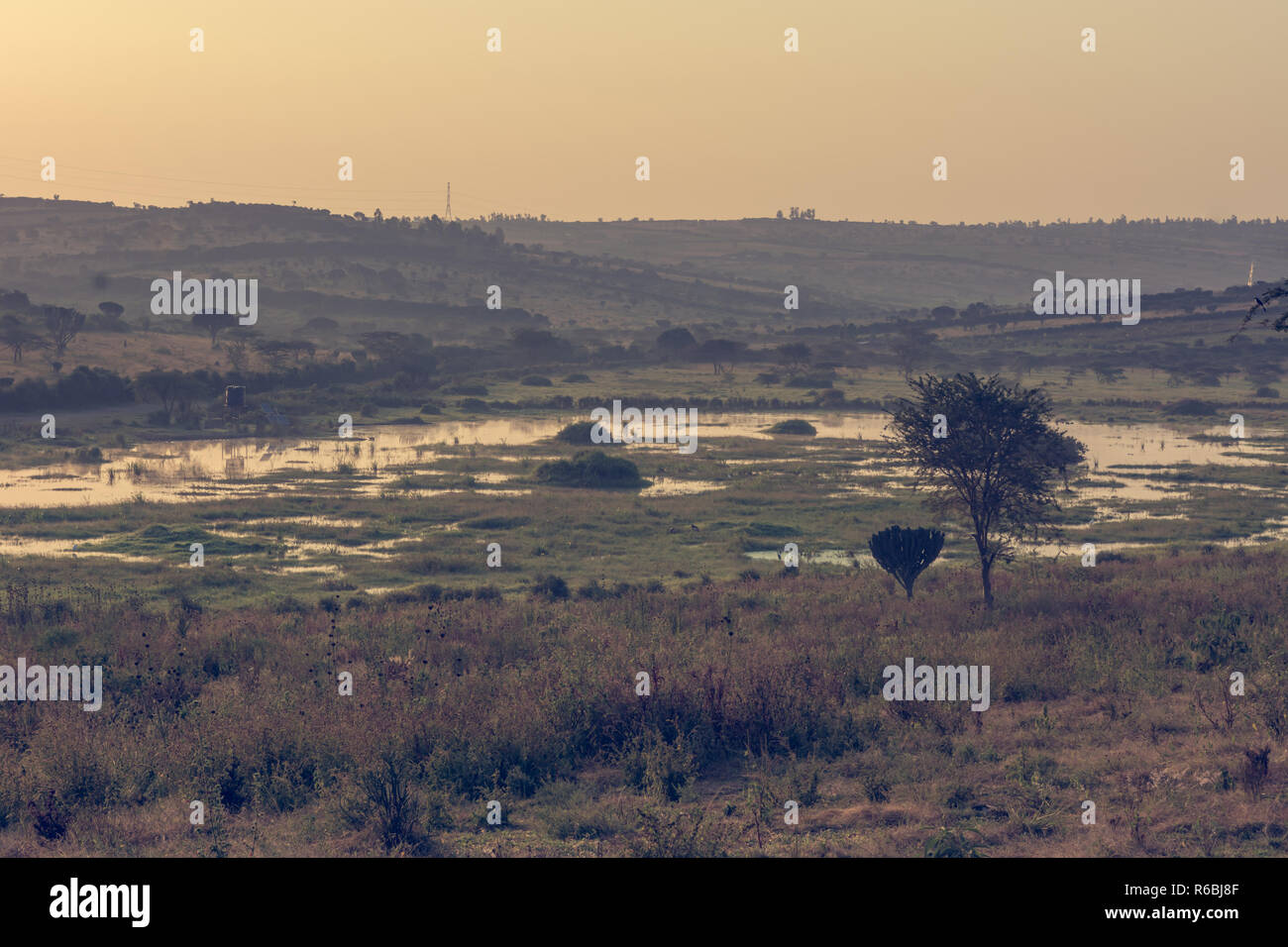 Spectacular savannah landscape of sun raising above marshes. Rwanda ...