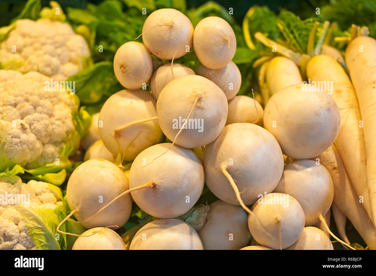 White round radish hi-res stock photography and images - Alamy