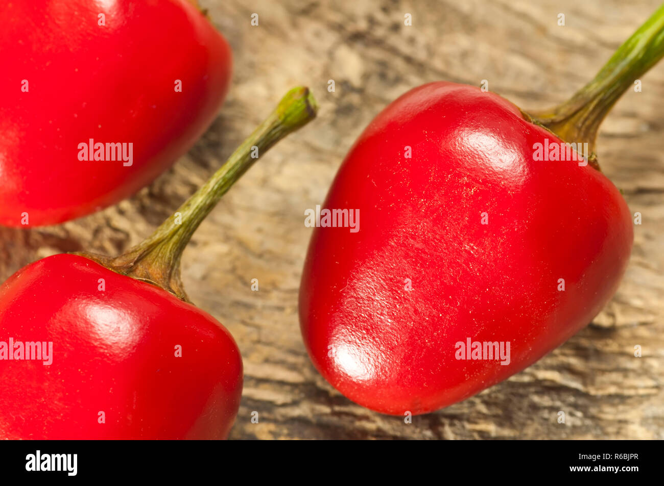 Cascabel hi-res stock photography and images - Alamy
