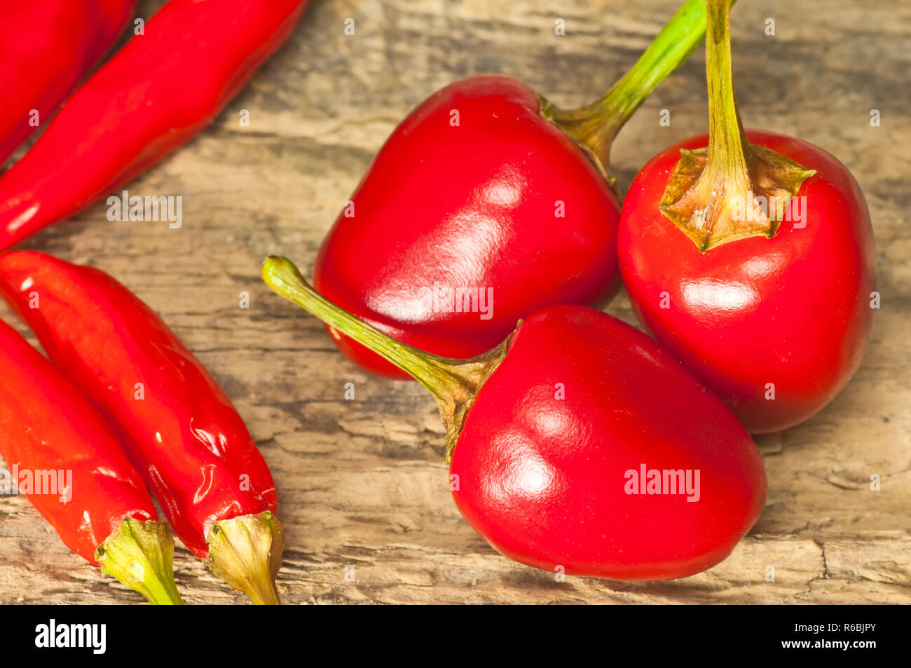 Cascabel hi-res stock photography and images - Alamy