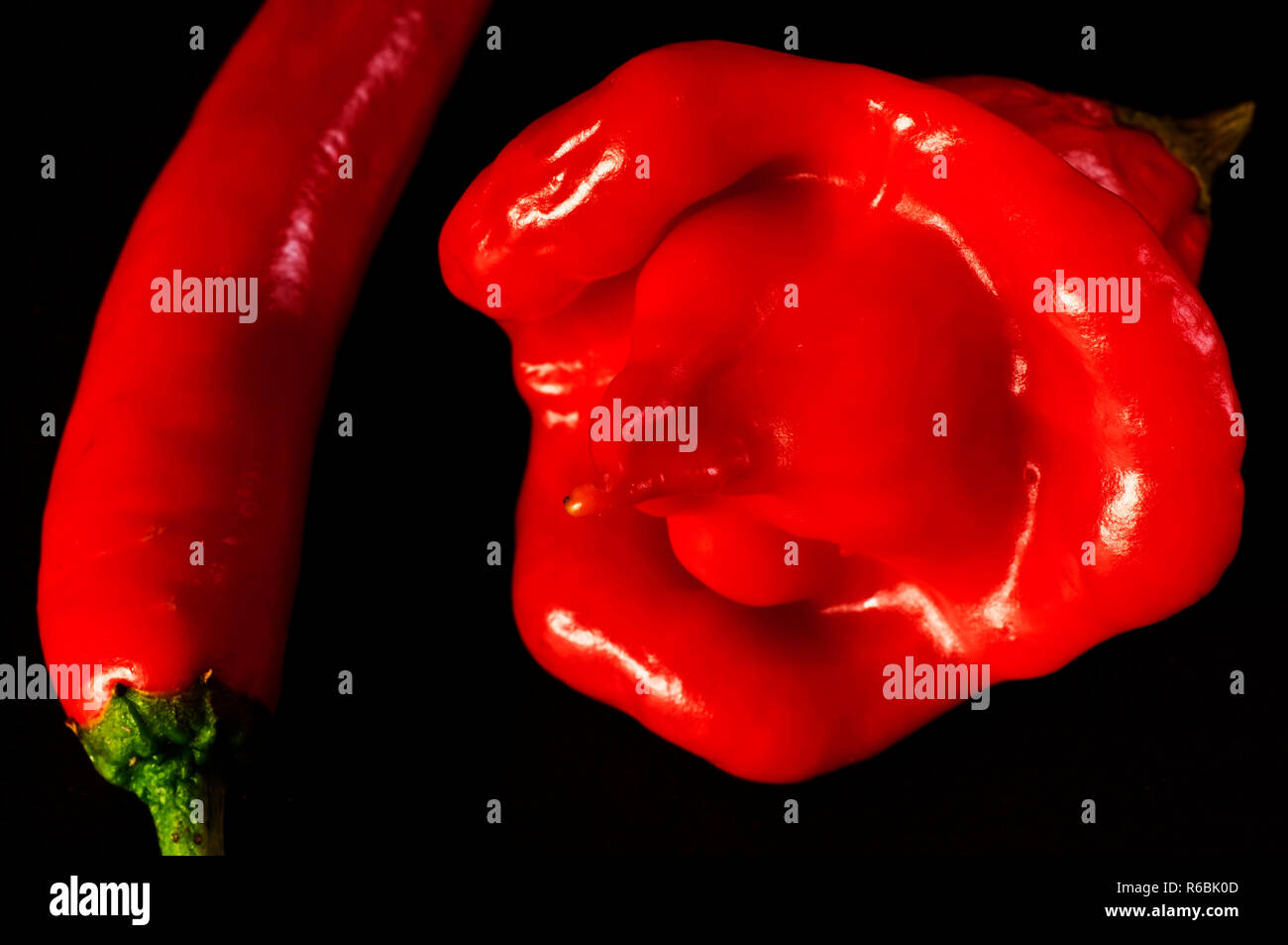 Chili Bishop´S Crown Stock Photo - Alamy