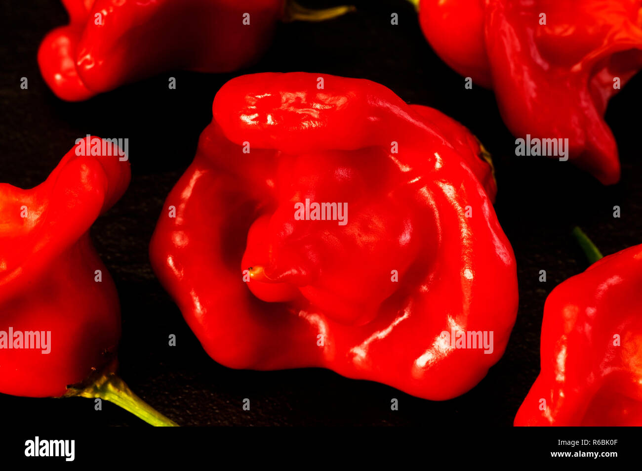 Chili Bishop´S Crown Stock Photo - Alamy