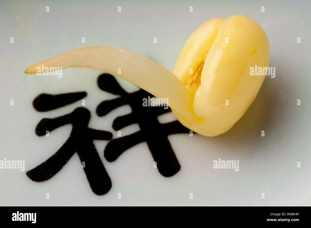 Soybean germ hi-res stock photography and images - Alamy