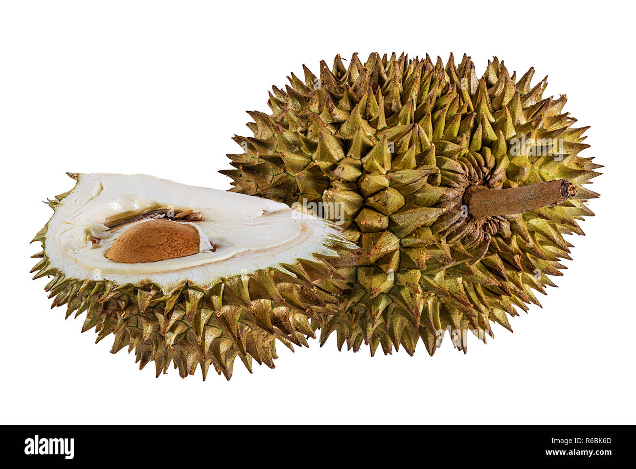 Durian isolated on white background Stock Photo - Alamy