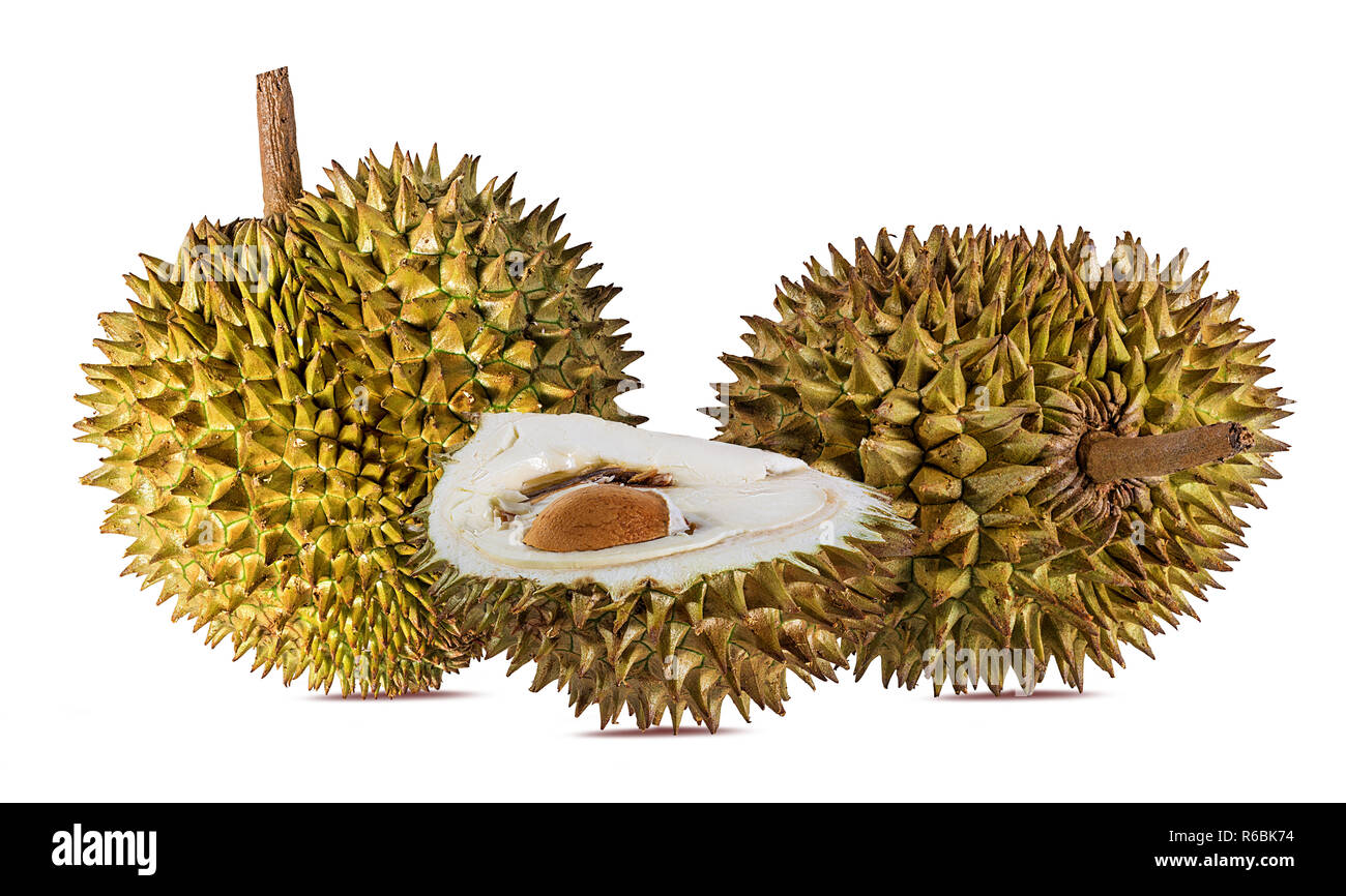 Durian isolated on white background Stock Photo - Alamy