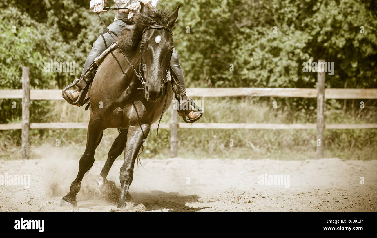 Active jockey training riding horse. Equestrian sport competition and ...