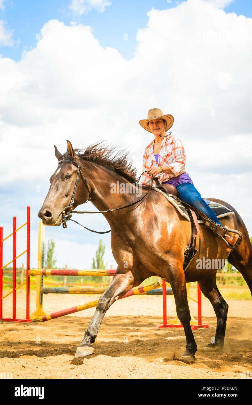 Arabian horse competitions hi-res stock photography and images - Alamy