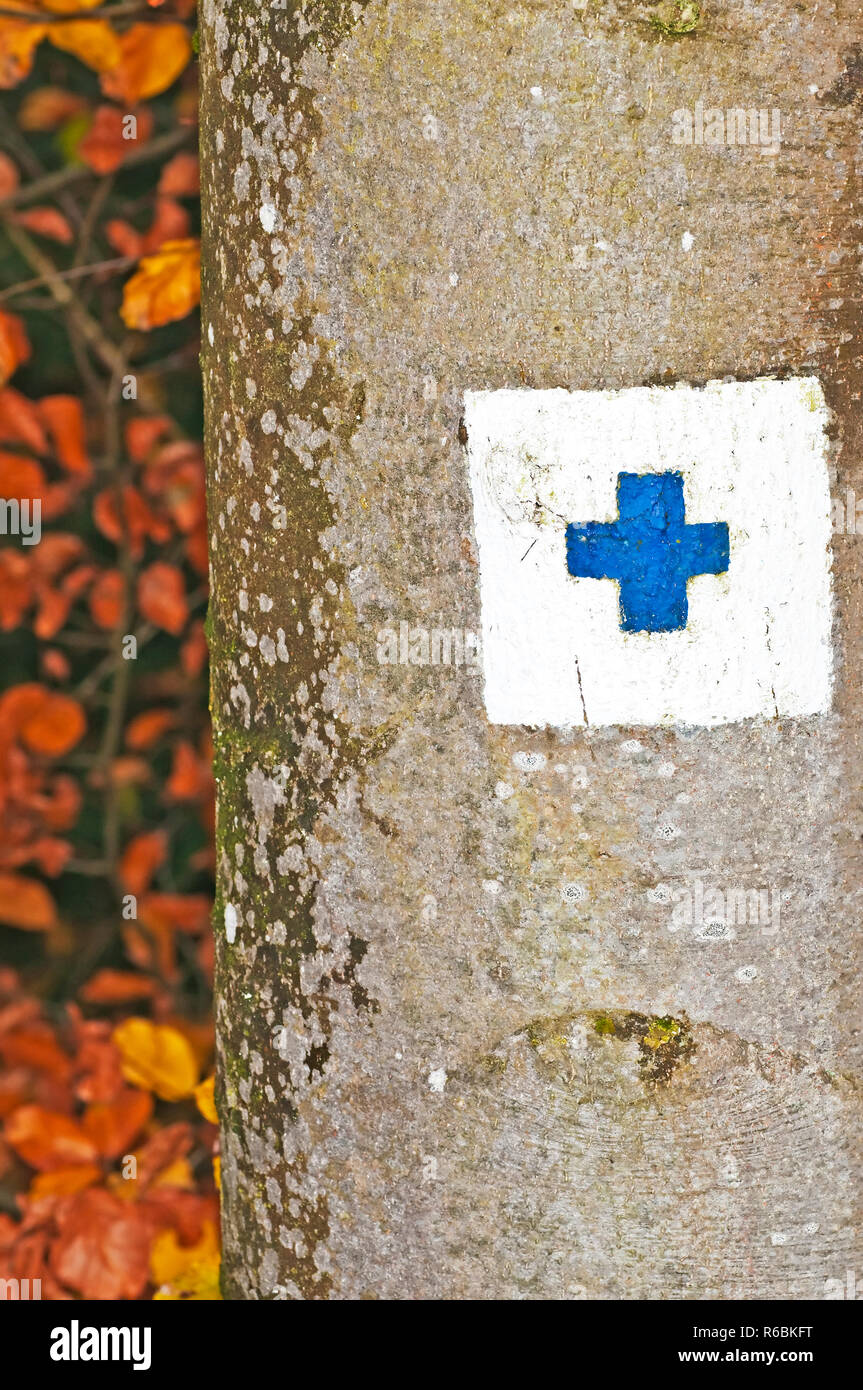 Marker on a tree hi-res stock photography and images - Alamy