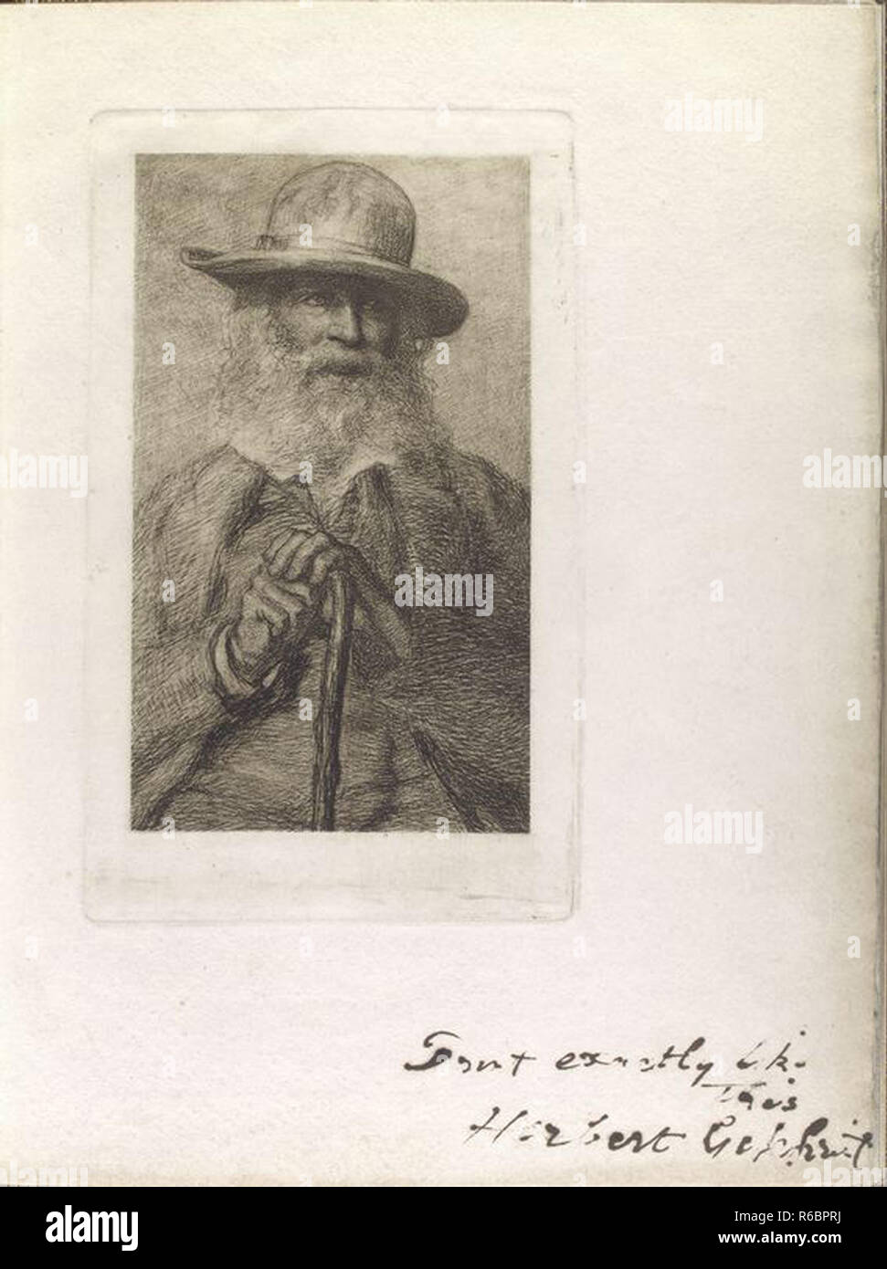 Walt Whitman vintage portrait Stock Photo - Alamy