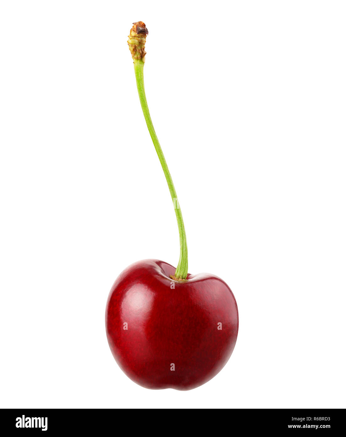 Cherry isolated on white background Stock Photo - Alamy