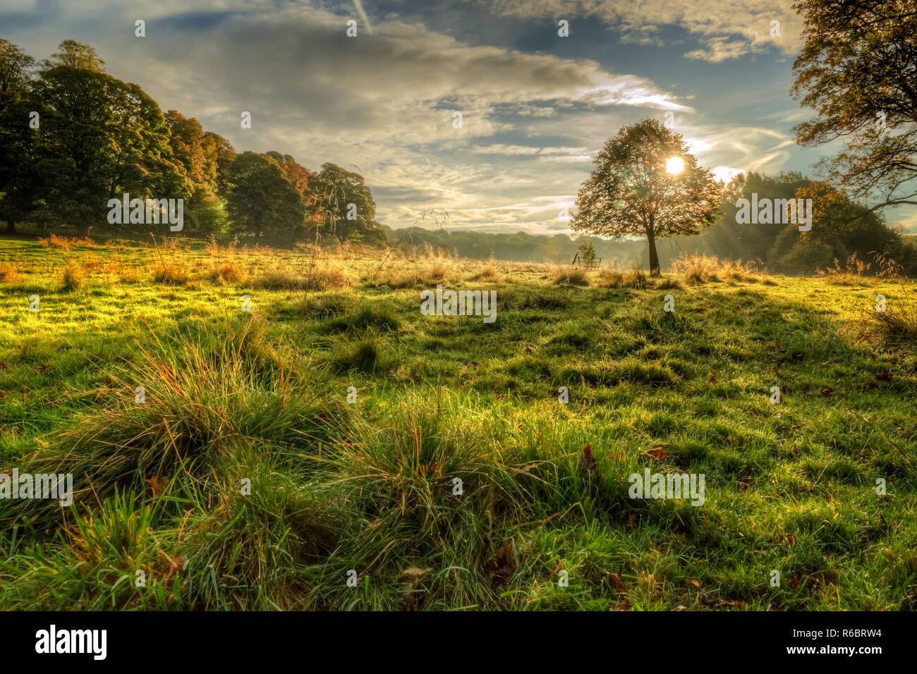 Morning light countryside hi-res stock photography and images - Alamy