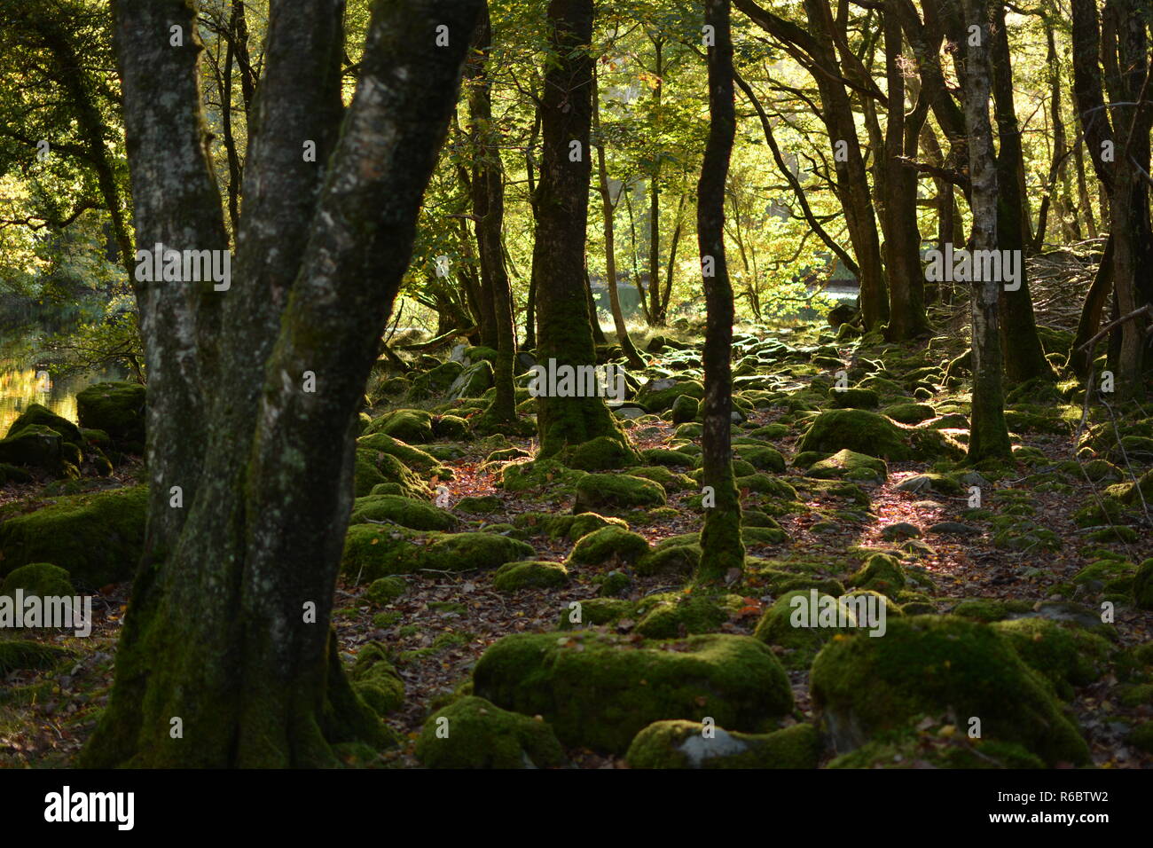 Nantcol wales hi-res stock photography and images - Alamy