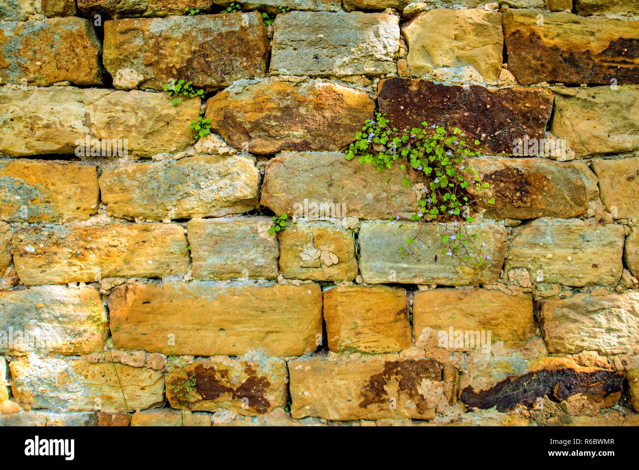 Old, Medieval Abbey Wall Stock Photo - Alamy