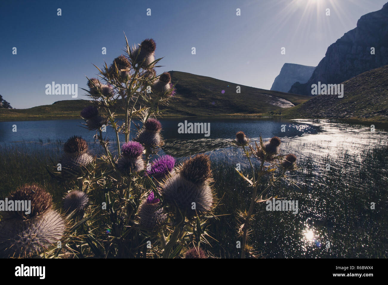 Dragon lake hi-res stock photography and images - Alamy