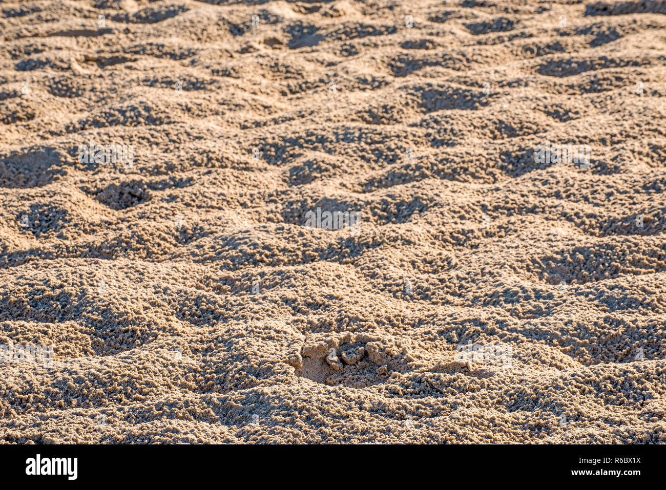 Sand Of A Beach With Shapes Stock Photo - Alamy