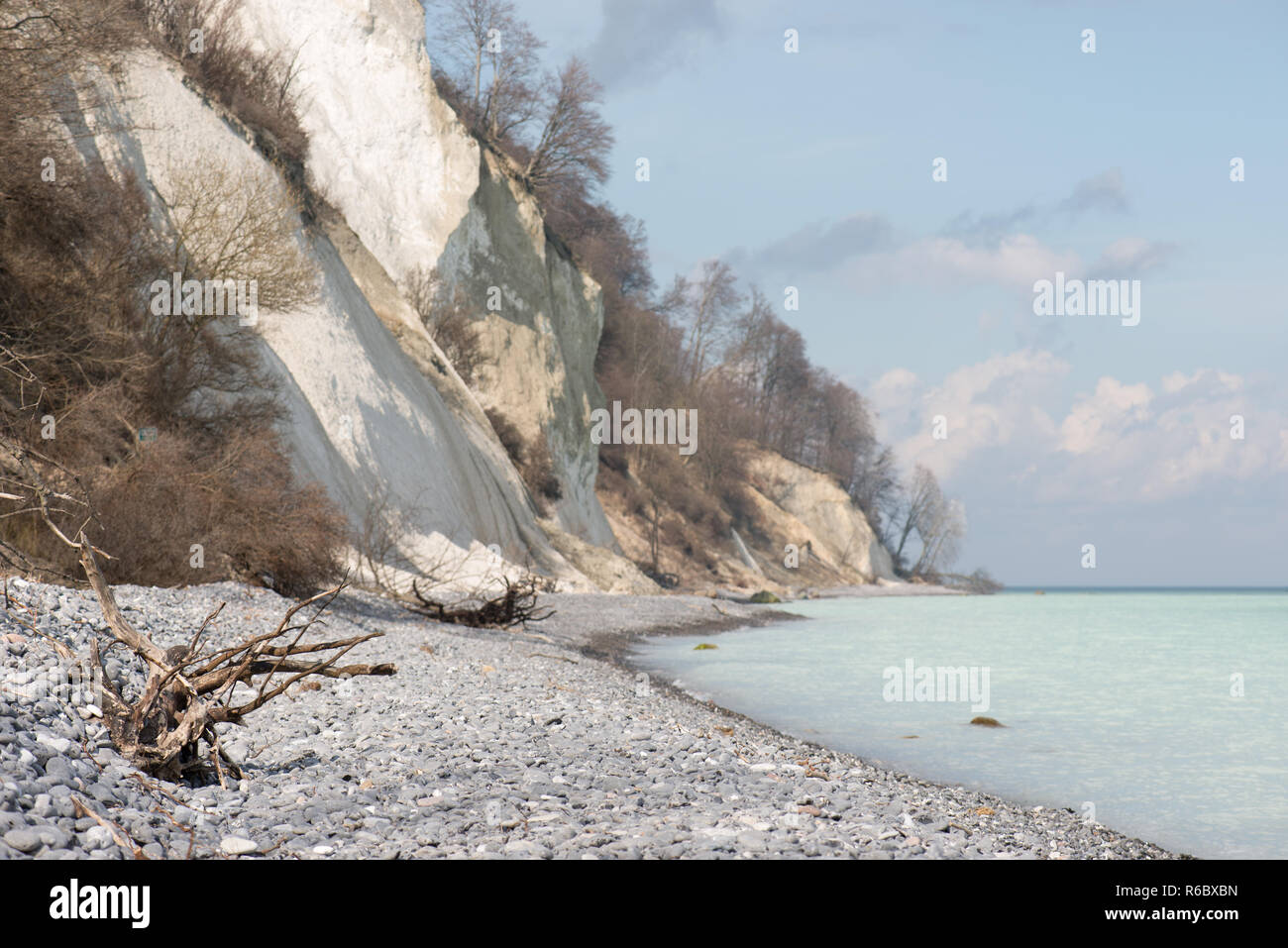 Chalk cliff landscape on Moens Klint in Denmark Stock Photo - Alamy