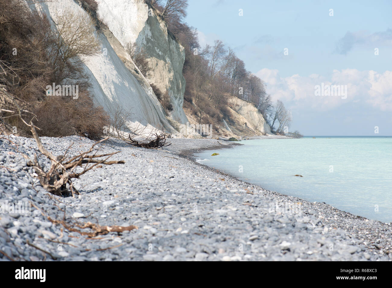 Chalk cliff landscape on Moens Klint in Denmark Stock Photo - Alamy