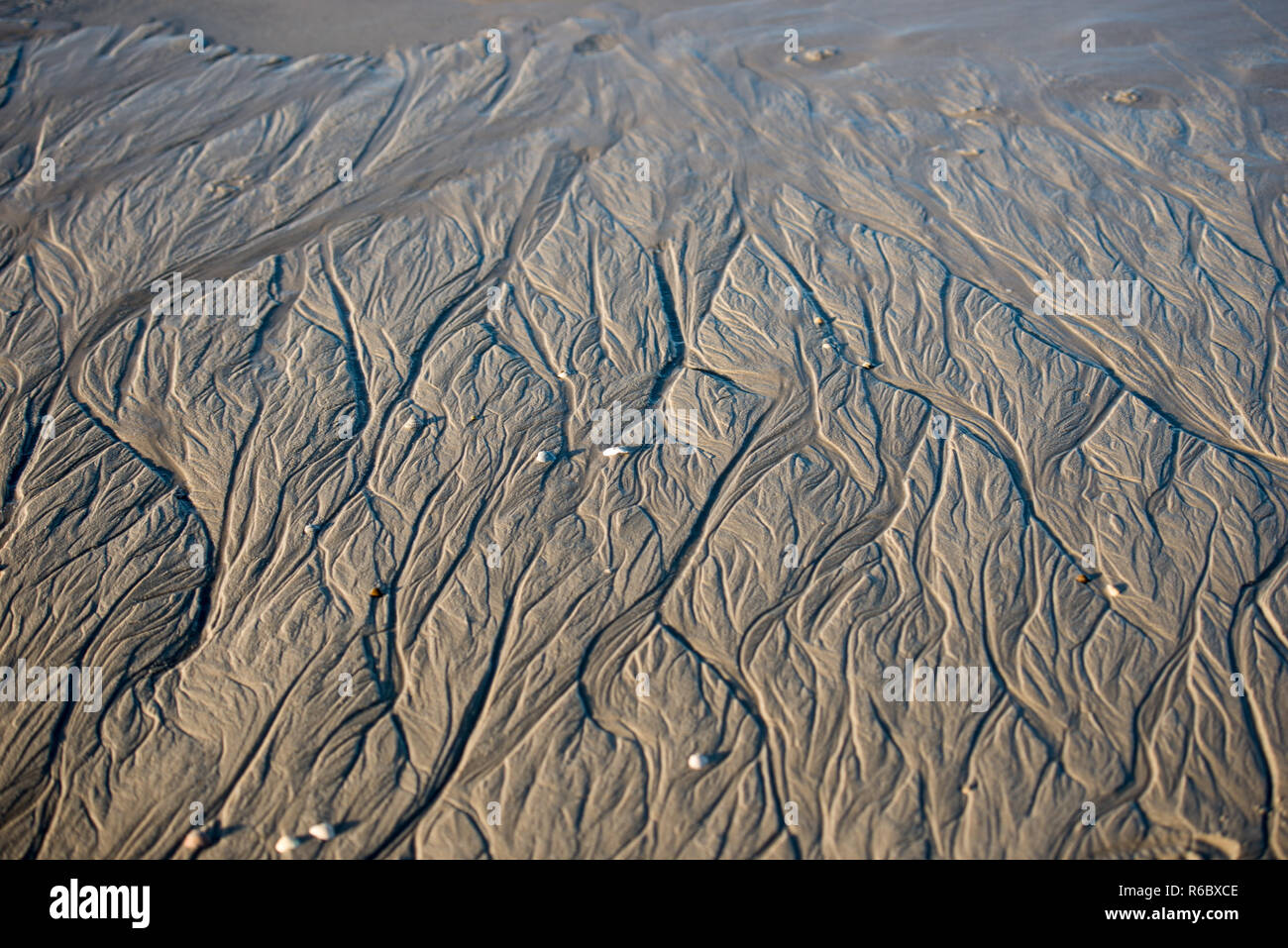 Sand beach resembling a tiny river delta system on a beach with mussel ...