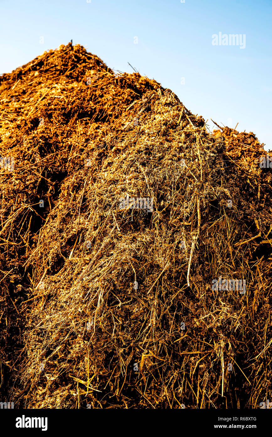 Dung weather hi-res stock photography and images - Alamy