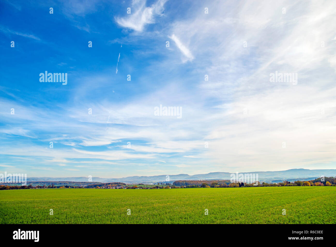 Field Of Green Manure With View To German Highlands Stock Photo - Alamy