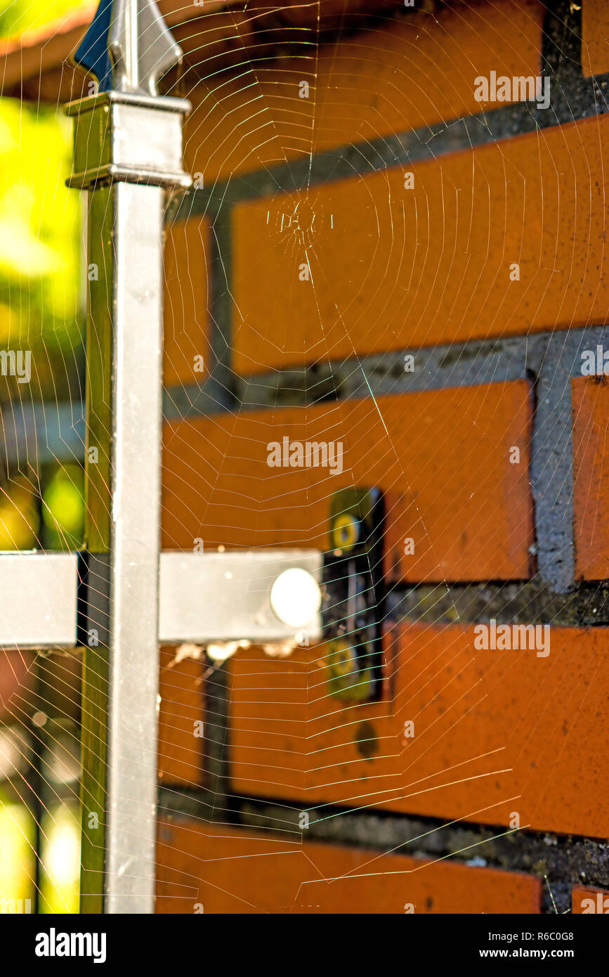 Spider Web At A Fence Stock Photo - Alamy