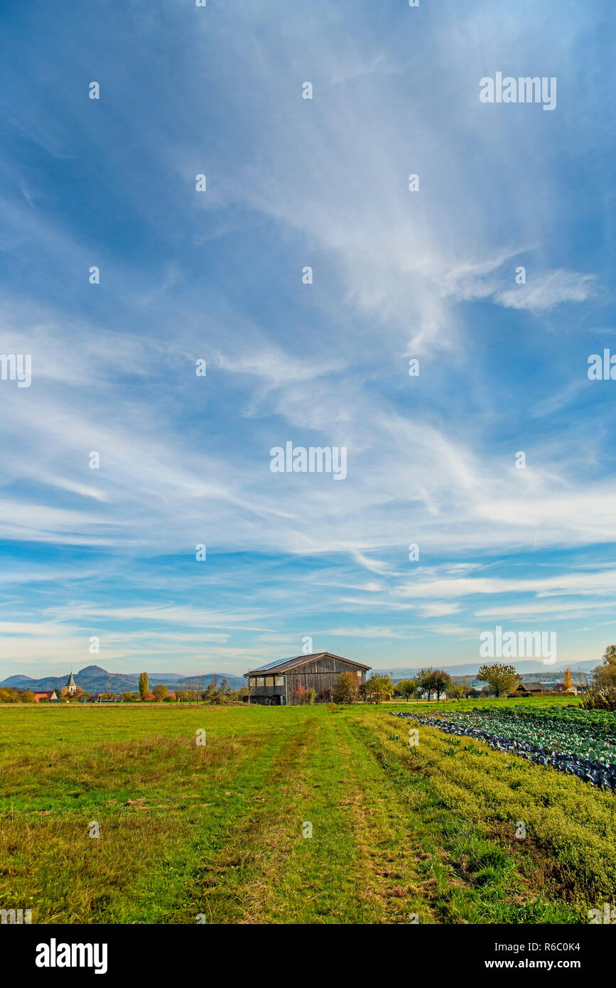 Country Scene In Autumn Stock Photo - Alamy