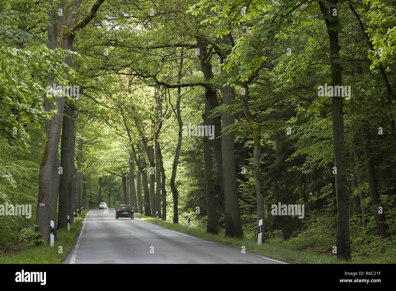 Two Cars Meet On The Country Road Stock Photo - Alamy
