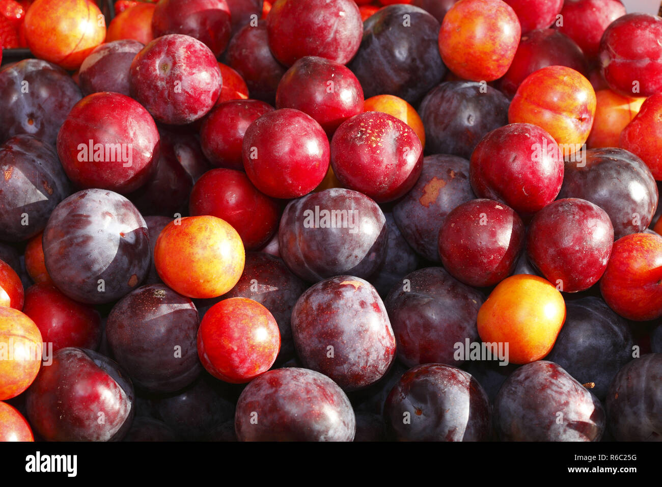Fresh Colorful Plums On A Market Stall, Germany, Europe Stock Photo - Alamy