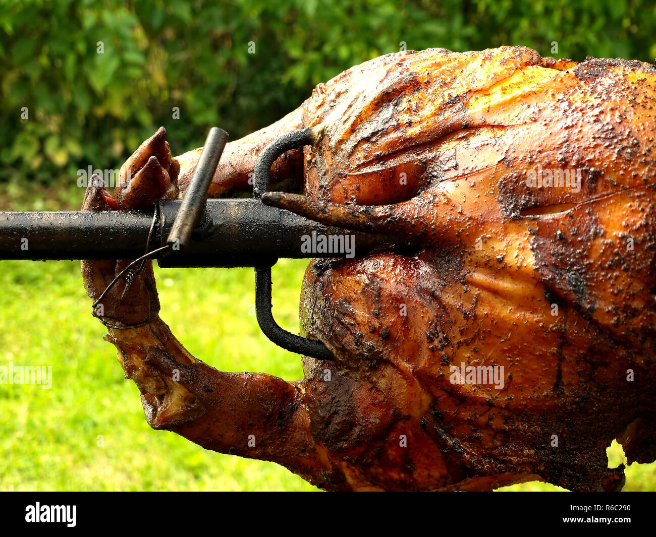 Barbecue speciality hi-res stock photography and images - Alamy