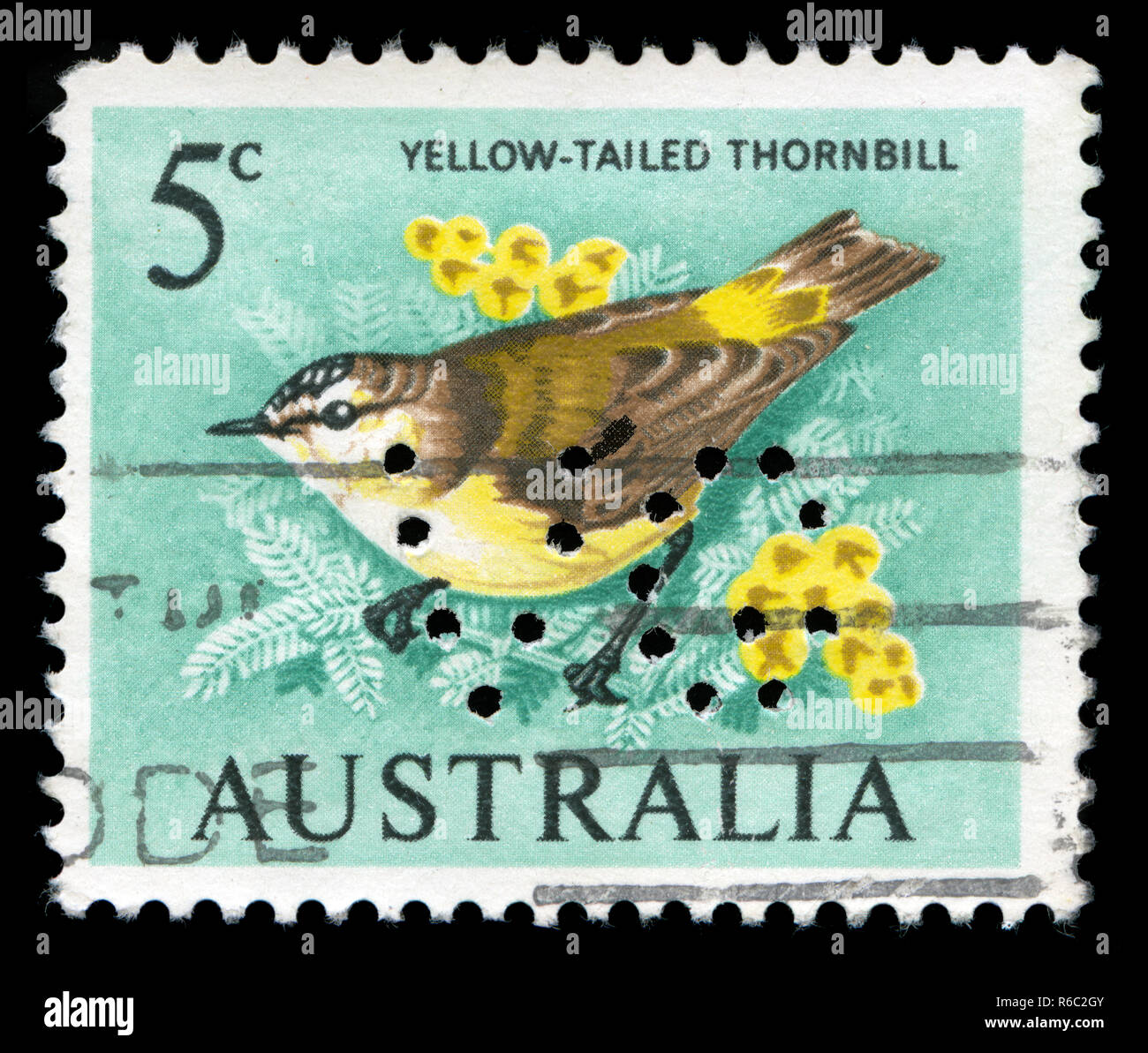 Postage stamp from Australia in the Birds series issued in 1966 Stock ...
