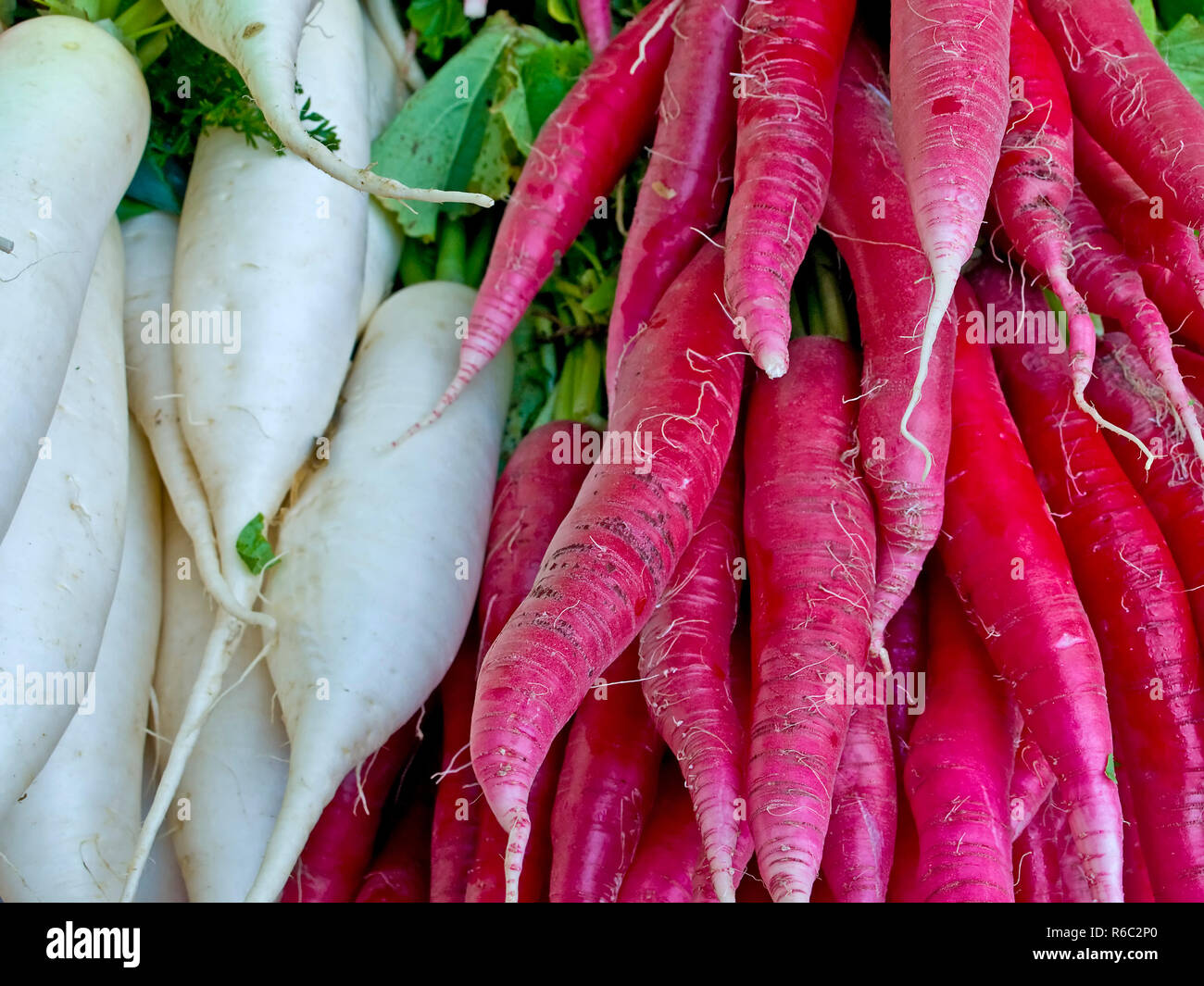 Red And White Radish Stock Photo - Alamy