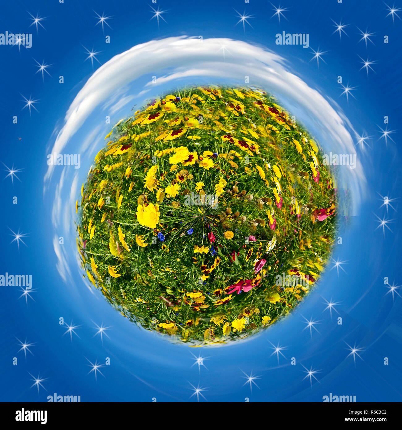 Planet With Flowers Is Flying Through Space Stock Photo - Alamy