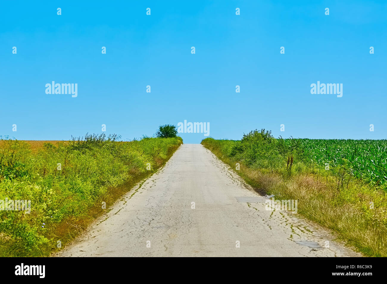 Road in the Countryside Stock Photo - Alamy