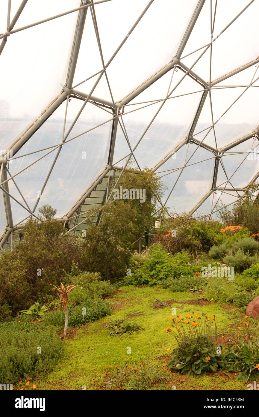 the rainforest biome inside the dome of the Eden project Stock Photo ...